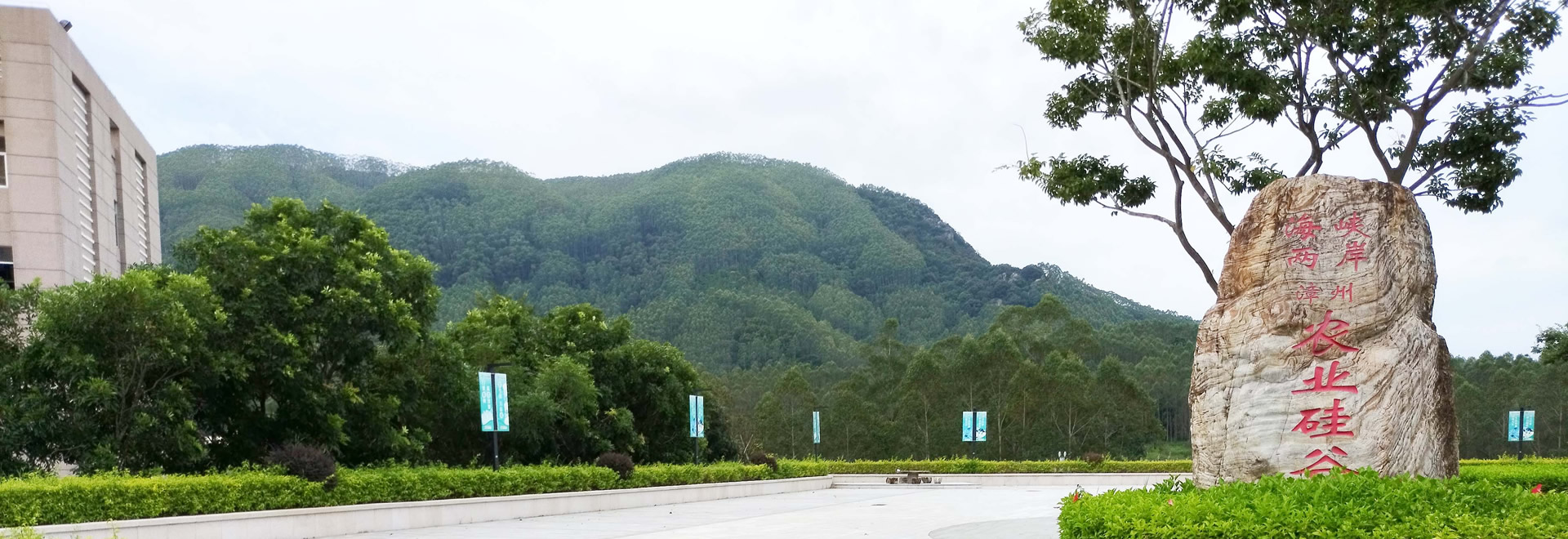 团队建设_esball世博官网集团_E世博·esball[中国]官方网站